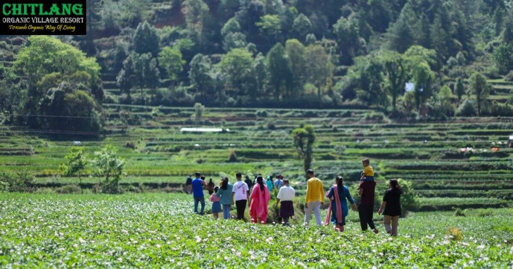 A Comprehensive Guide to Chitlang Homestay Price - Chitlang